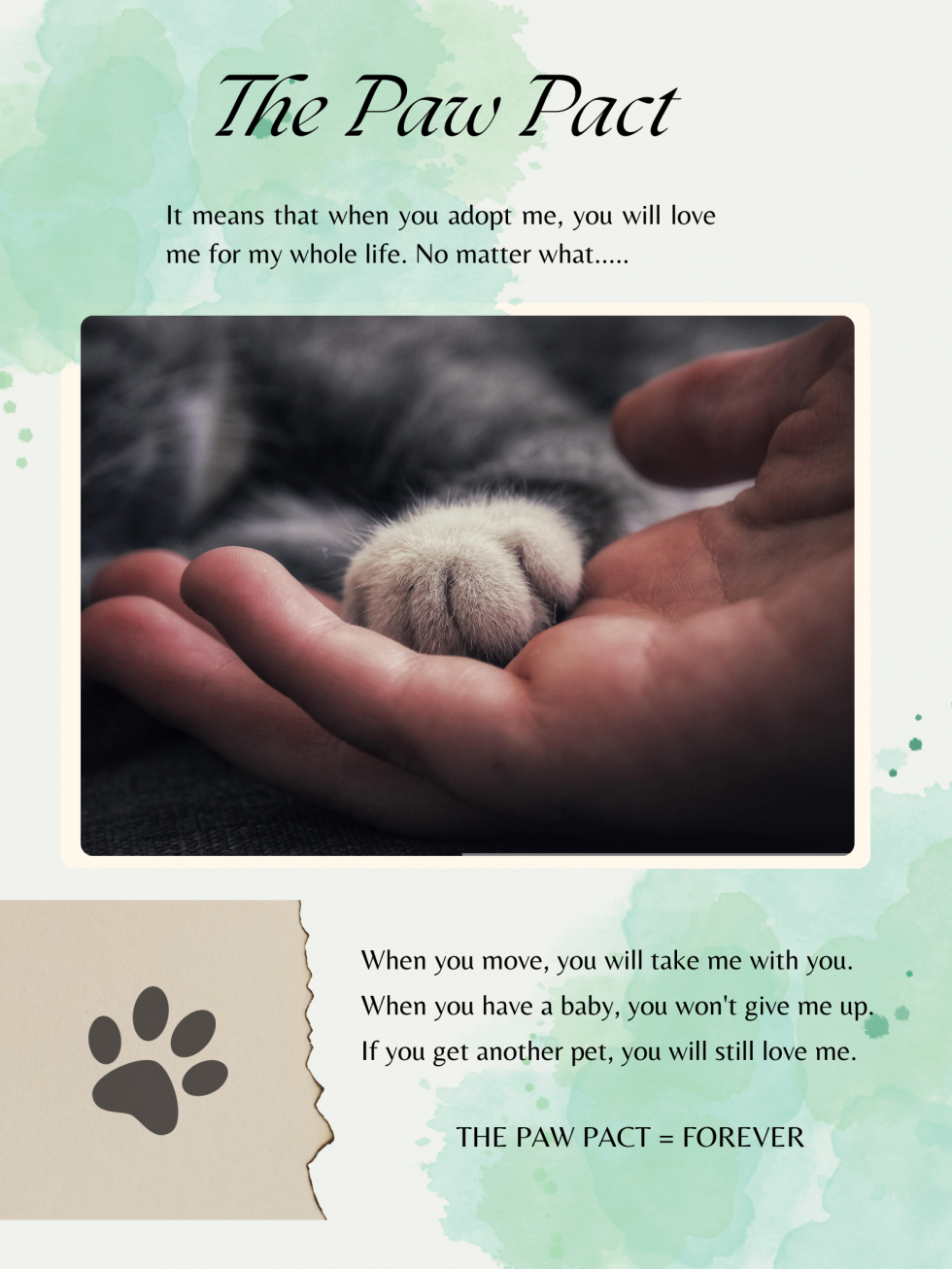 Adopt - CatRescue 901